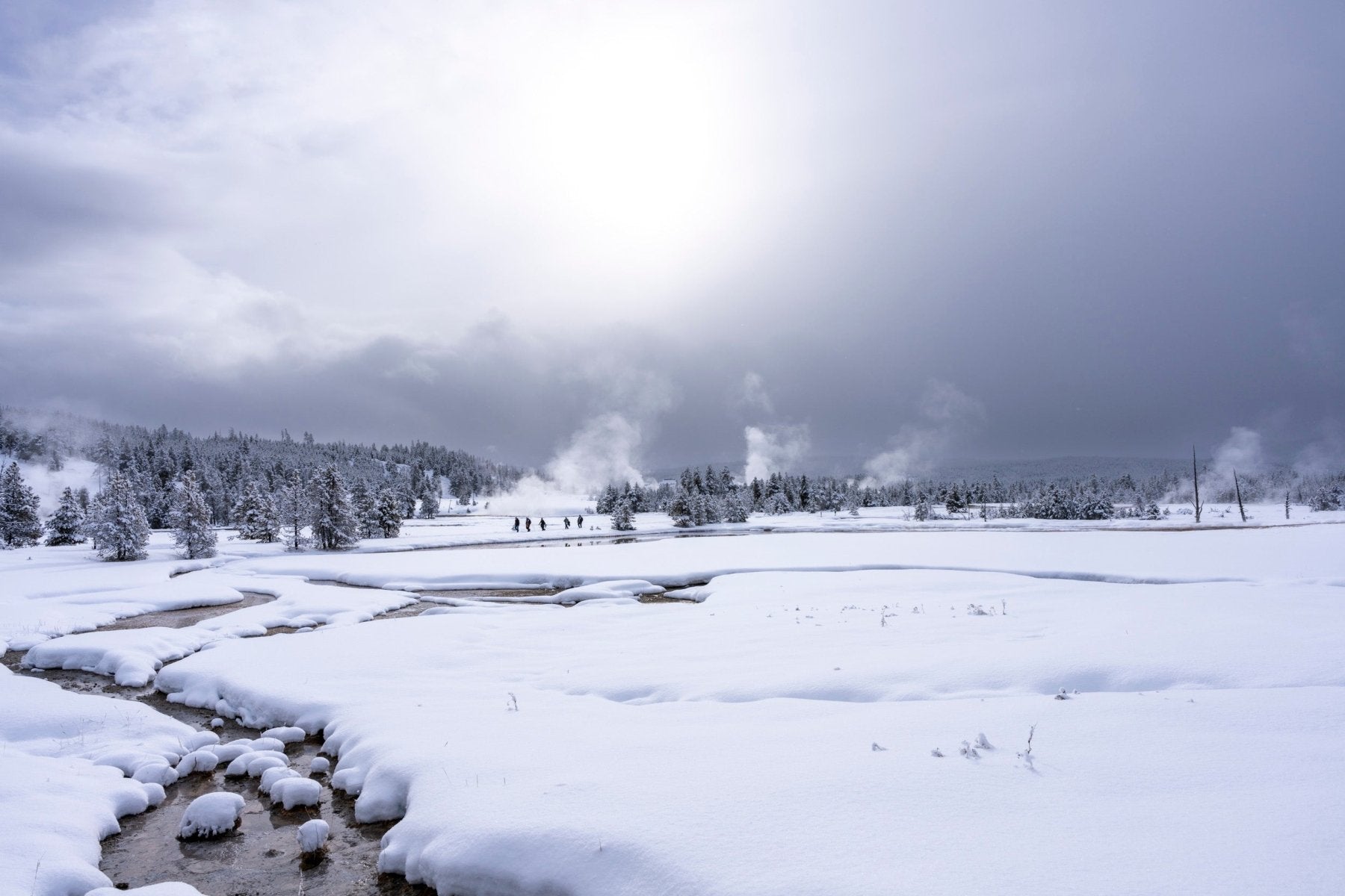 Yellowstone Photography Print - Winter Landscape Art – The Wild in Focus